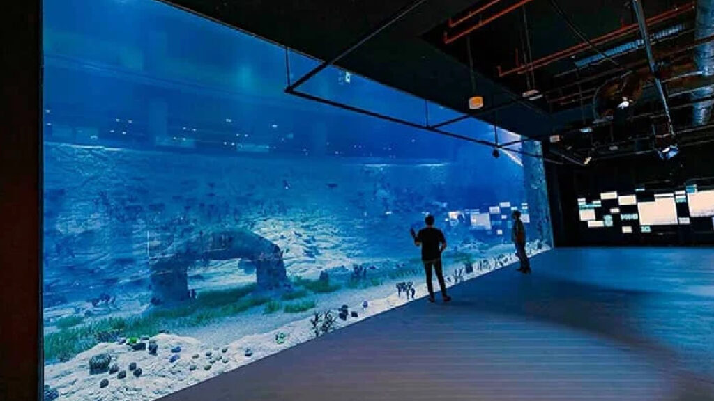 Explore the Top Aquarium Experiences in Qatar | KidsLoveQatar