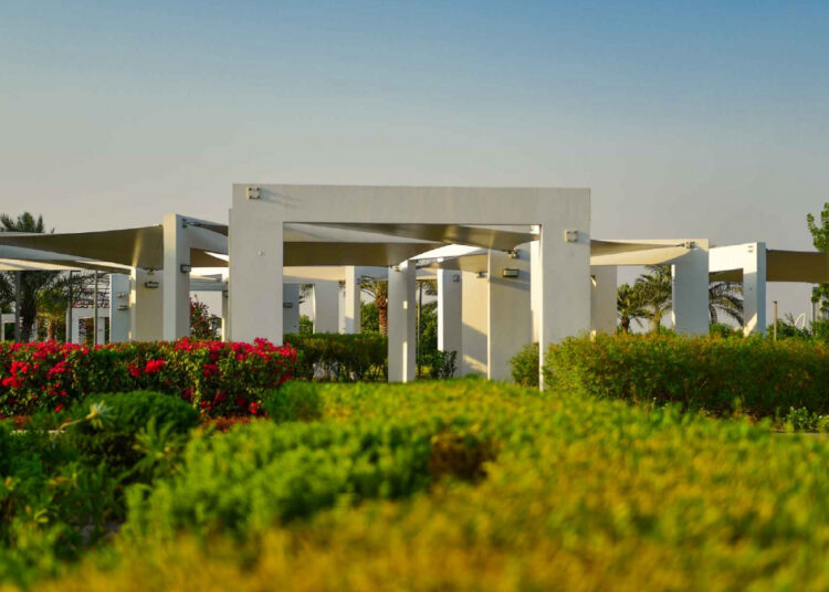 Al Legtaifiya Park – A Family-Friendly Oasis in Doha | KidsLoveQatar